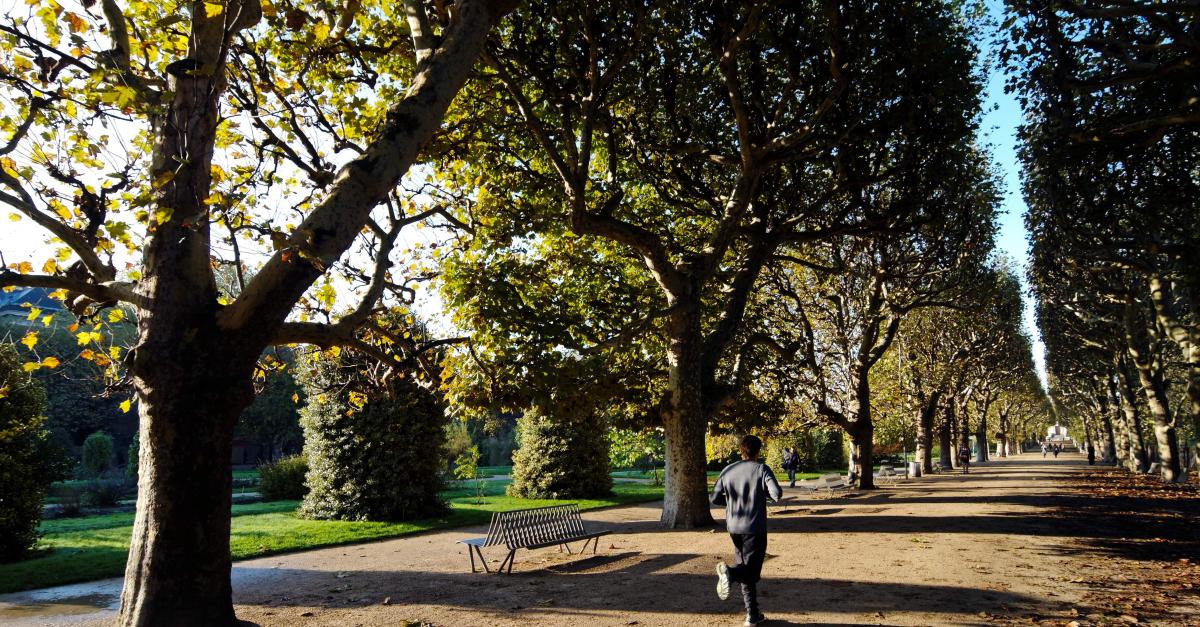 Courir à Paris : Les plus beaux circuits de running autour de l’Hôtel ...